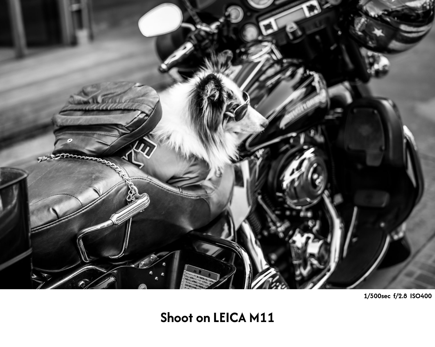Exif＊Frame for Leica | LeicaHolics